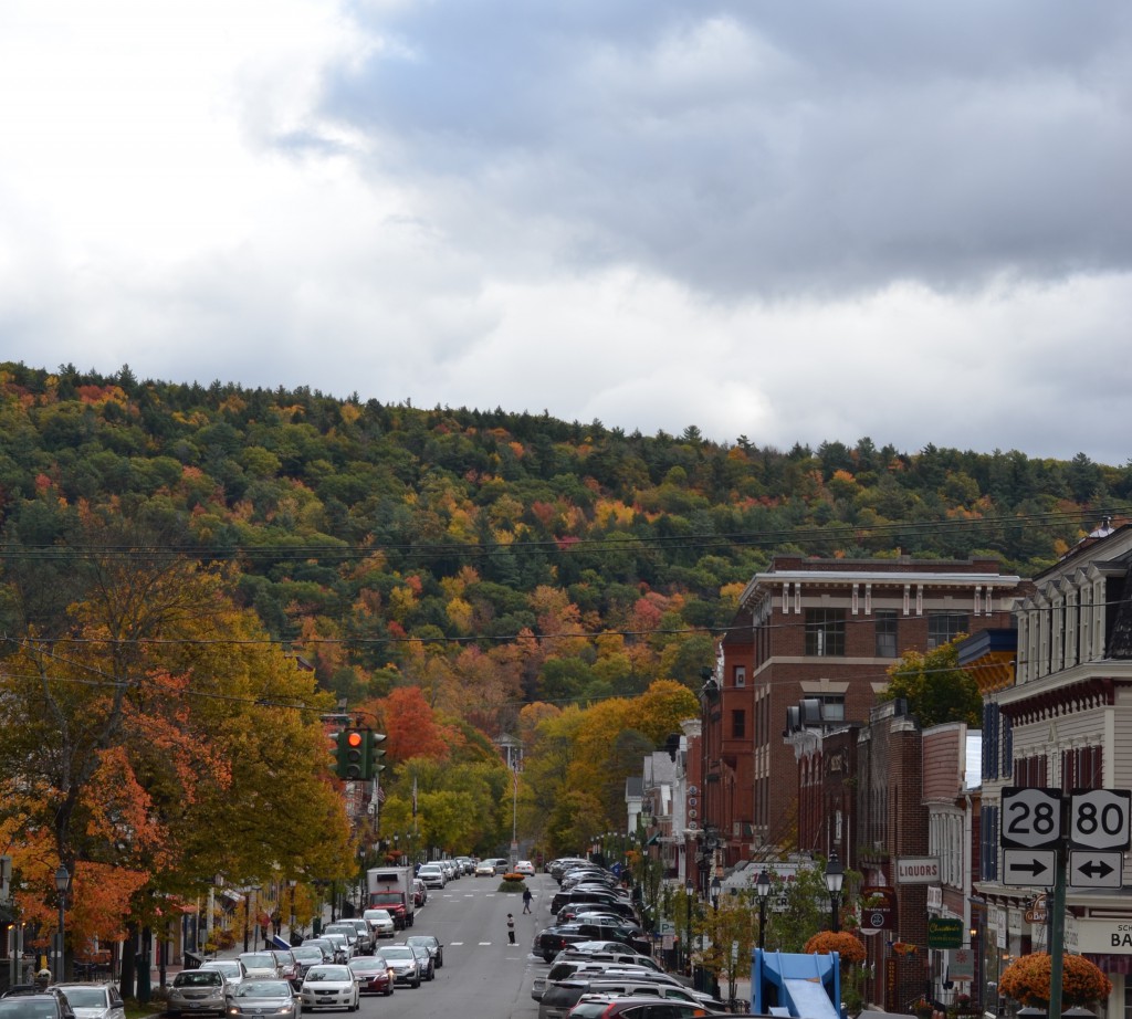 Village of Cooperstown – Immersion Learning